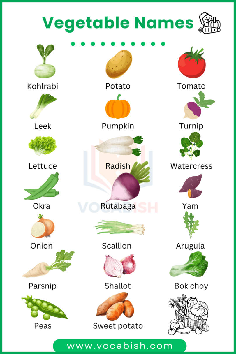 100+ Vegetable Names in English with Their Pictures | Vocabish