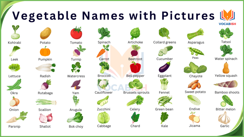100+ Vegetable Names in English with Their Pictures | Vocabish