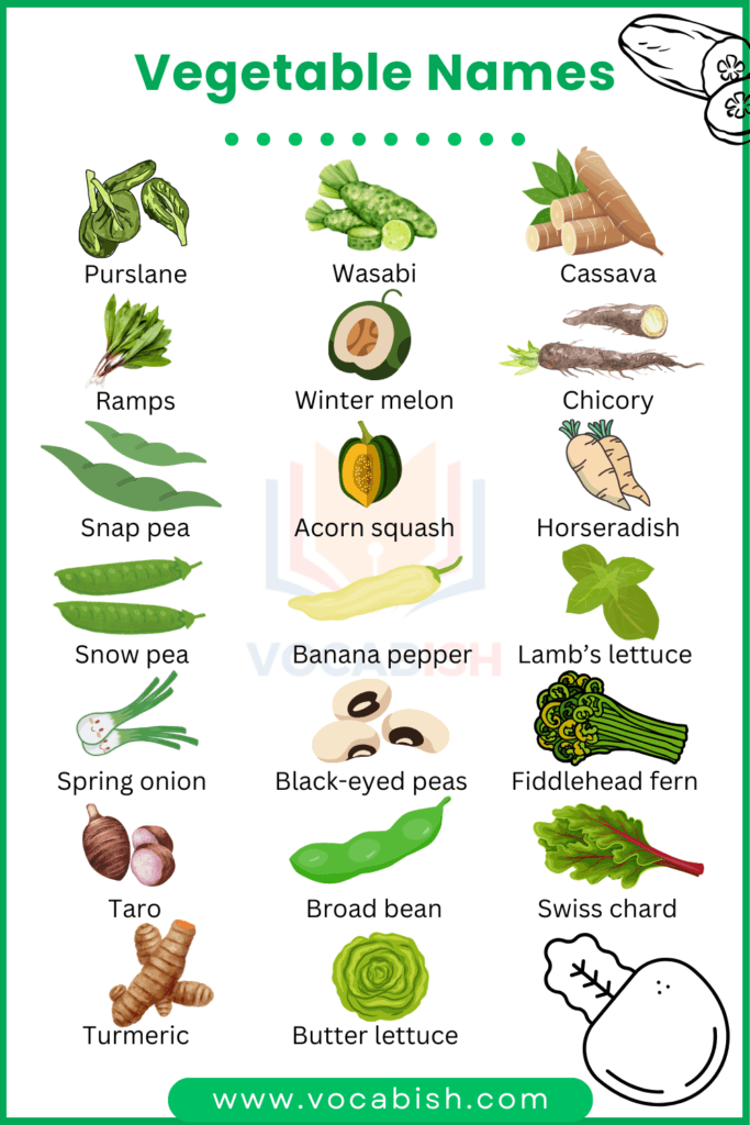 100+ Vegetable Names in English with Their Pictures | Vocabish