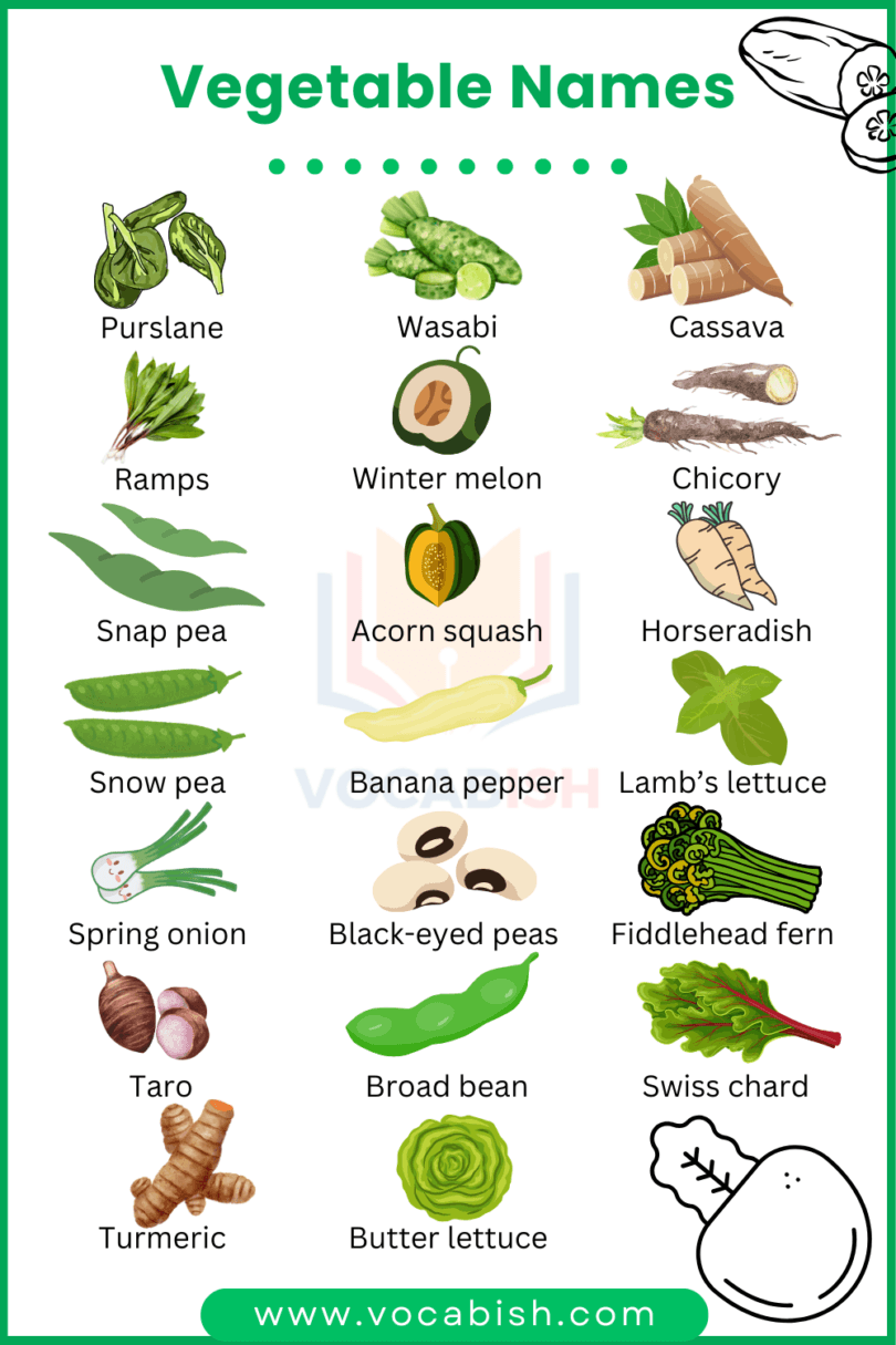 100+ Vegetable Names in English with Their Pictures | Vocabish
