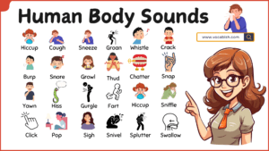 40+ Human Body Sounds in English with Pictures | Vocabish