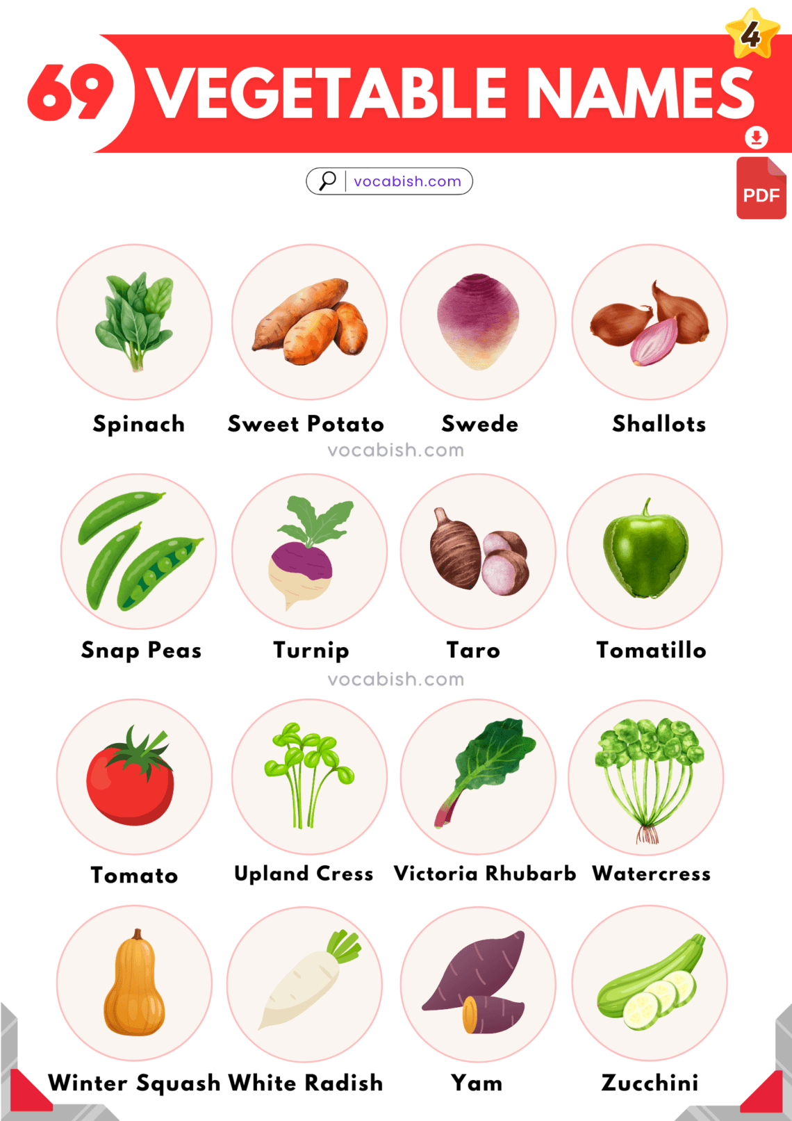 69 Vegetable Names in English with Pictures | Vocabish