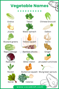 100+ Vegetable Names in English with Their Pictures | Vocabish