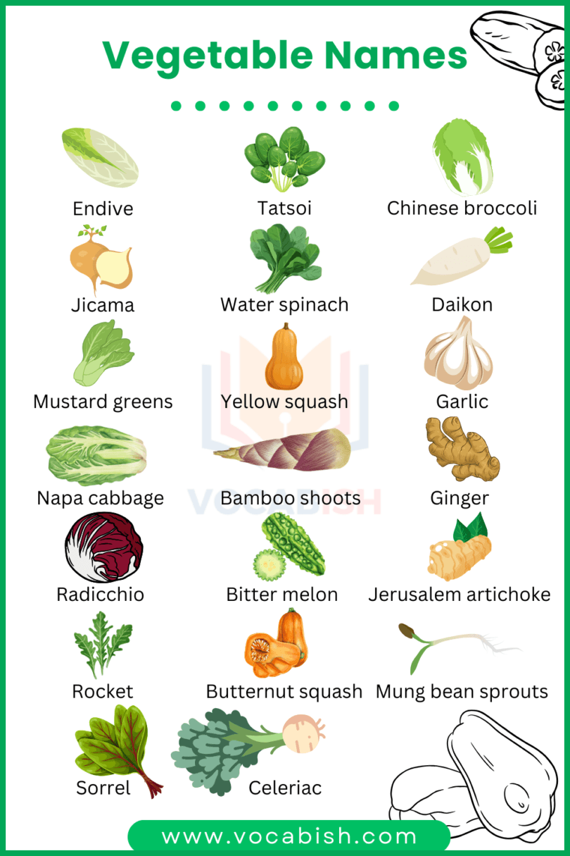 100+ Vegetable Names in English with Their Pictures | Vocabish
