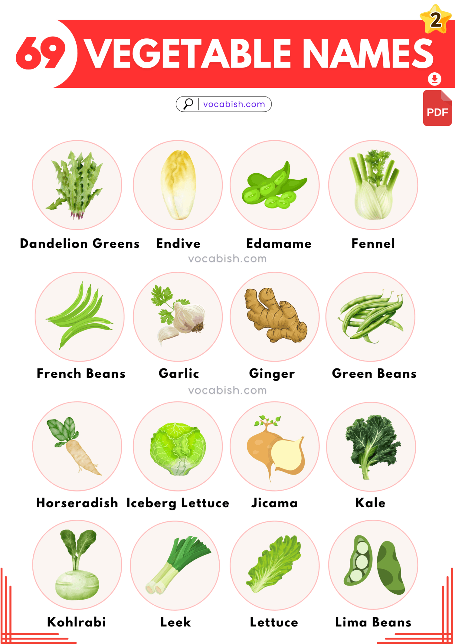 69 Vegetable Names in English with Pictures and PDF | Vocabish