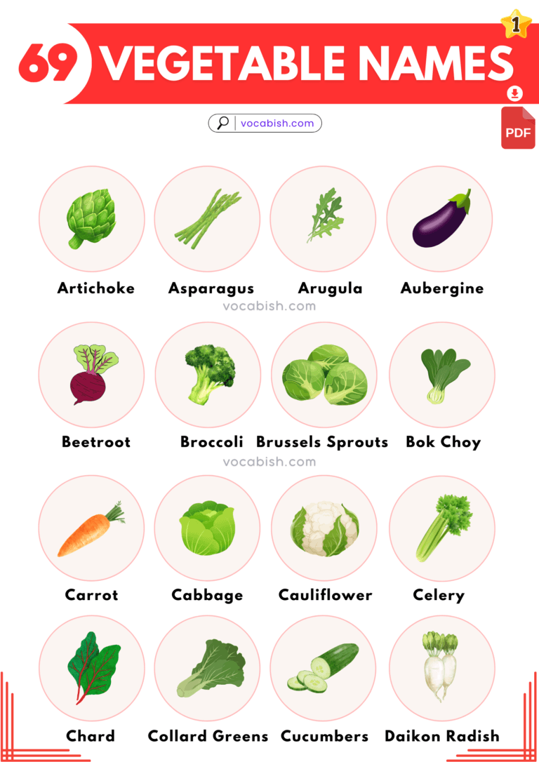 69 Vegetable Names in English with Pictures | Vocabish