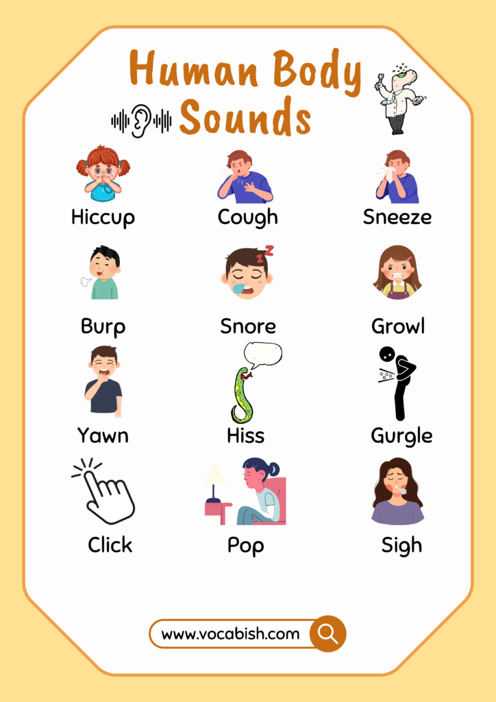 40+ Human Body Sounds in English with Pictures | Vocabish