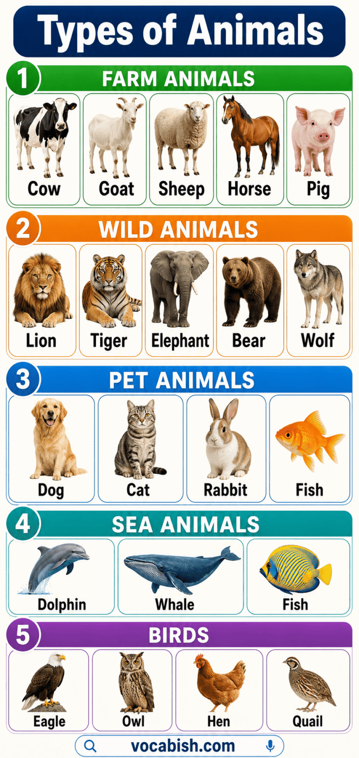 100+ A to Z Animals Name in English with Pictures | Vocabish