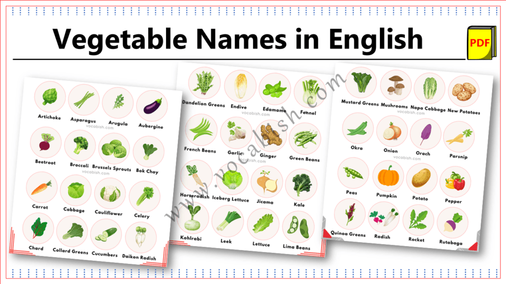 69 Vegetable Names in English with Pictures | Vocabish