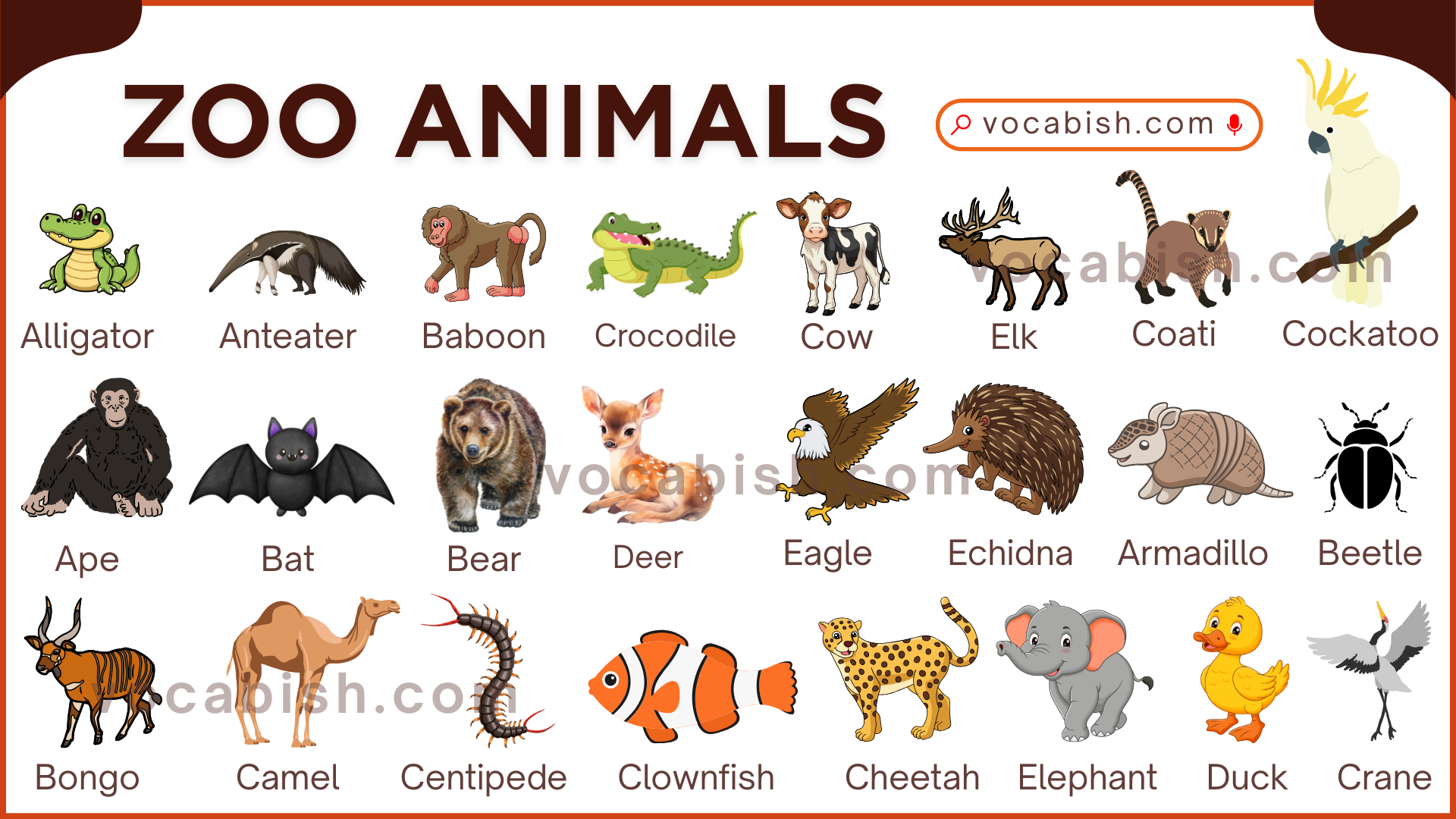 40+ Zoo Animal Names in English with Their Pictures | Vocabish