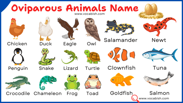 25+ Oviparous Animals Name with Their Pictures | Vocabish