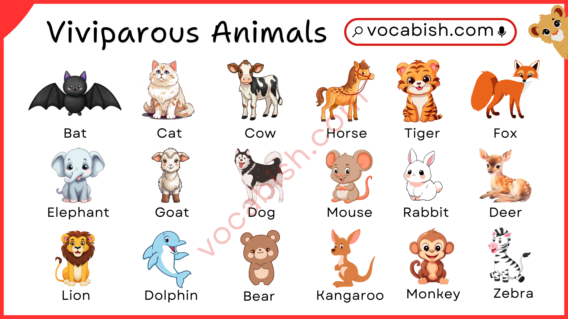 30+ Viviparous Animal Names with Their Pictures | Vocabish