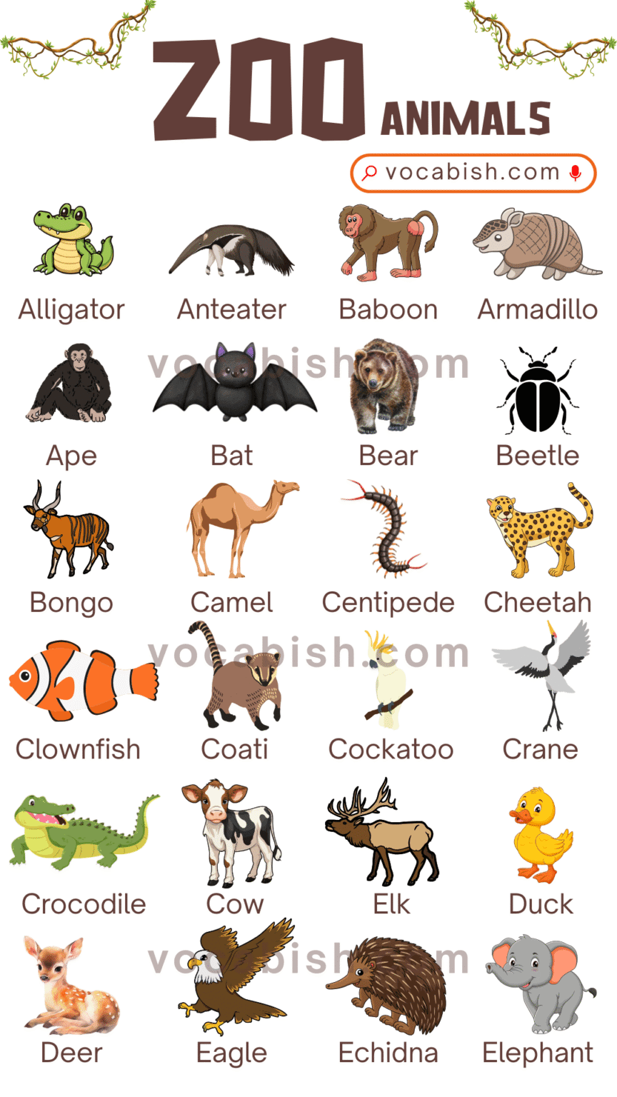 40+ Zoo Animals Names in English with Their Pictures | Vocabish