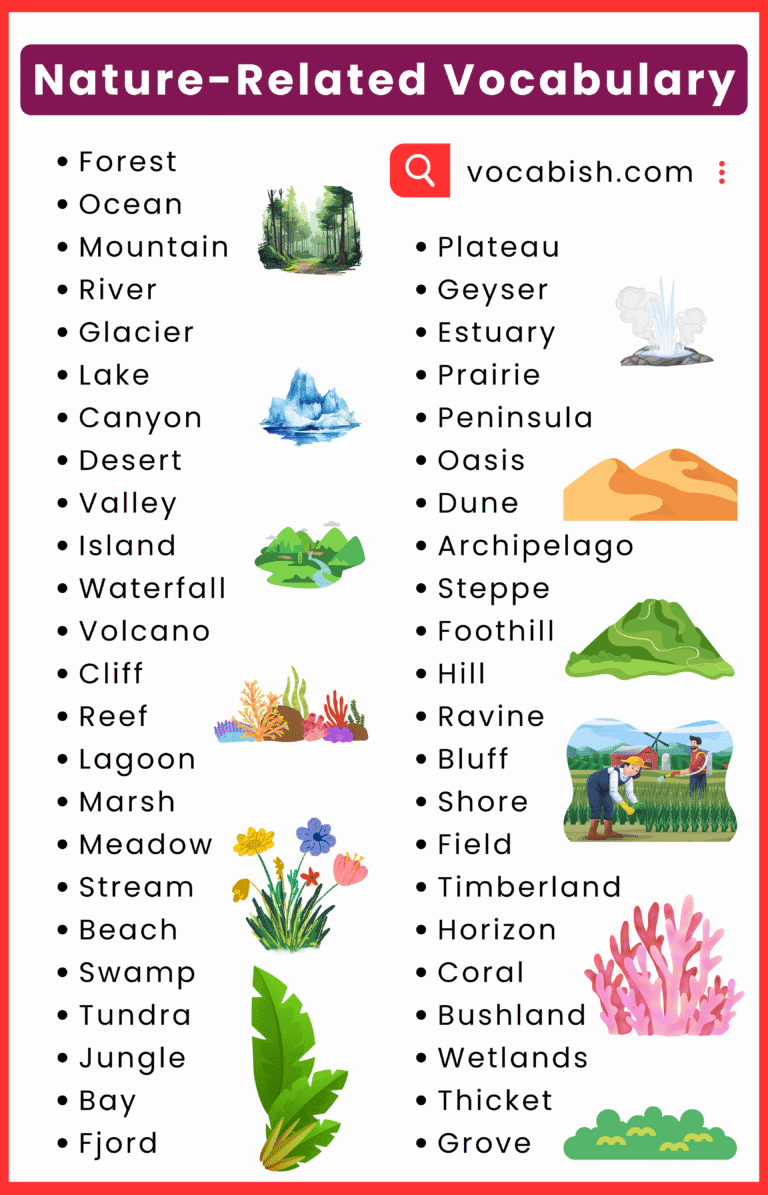 50 Nature Related Vocabulary Words in English