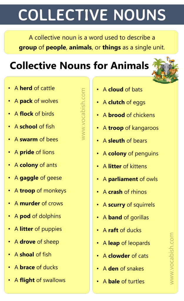 100+ Collective Nouns for People, Animals, and Things | Vocabish