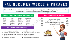 Palindromes Definition with Examples and Sentences | Vocabish