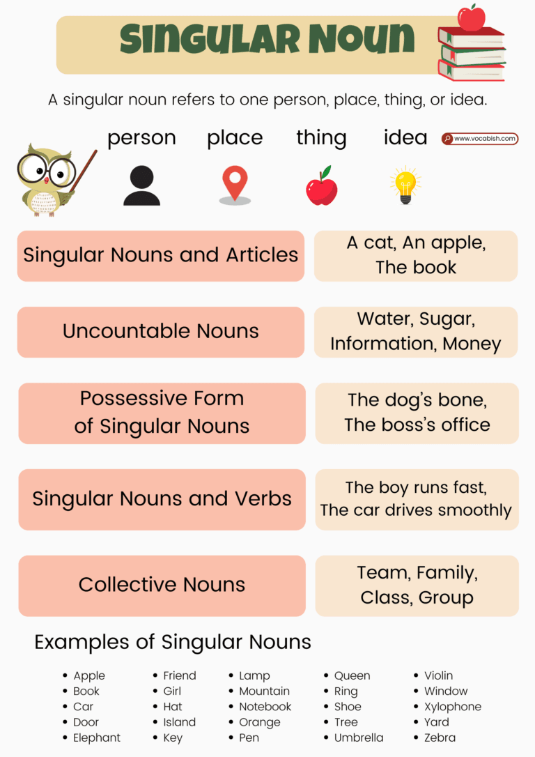 Singular and Plural Nouns in English with 100 Examples | Vocabish