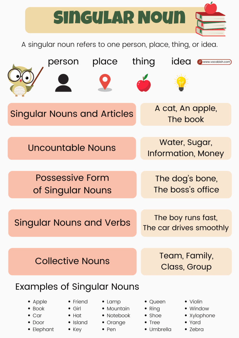 Singular and Plural Nouns in English with 100 Examples | Vocabish