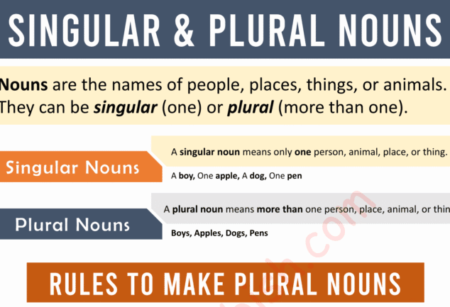 100 Examples of Noun in English with Sentences | Vocabish
