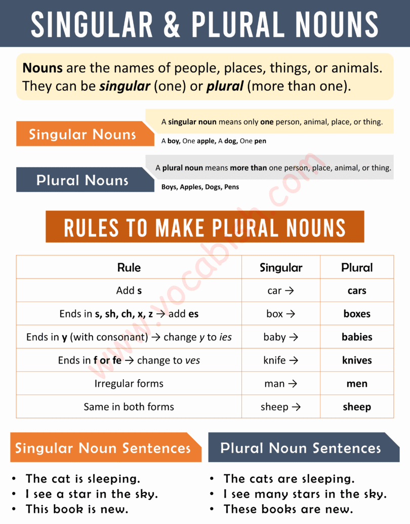 What are Singular and Plural Nouns in English? | Vocabish
