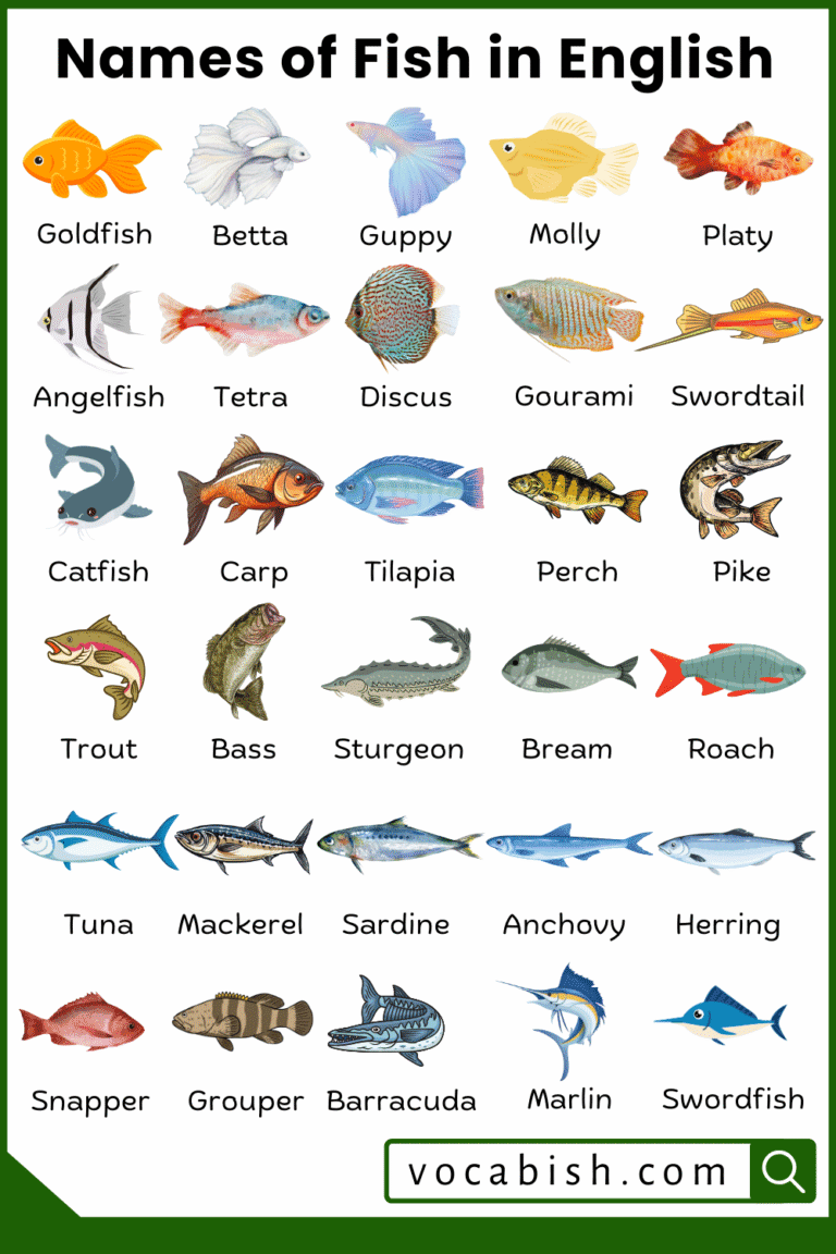Fish Names in English with Their Pictures | Vocabish