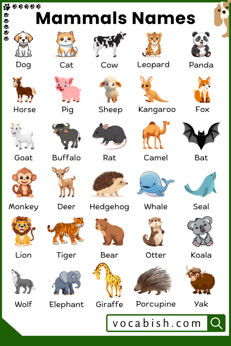 Mammals Names in English with Their Types and Pictures | Vocabish
