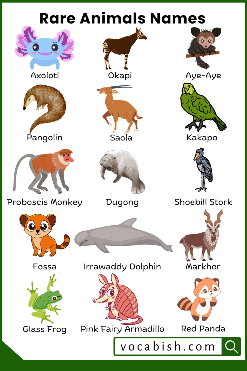 Rare Animals Name in English with Pictures | Vocabish