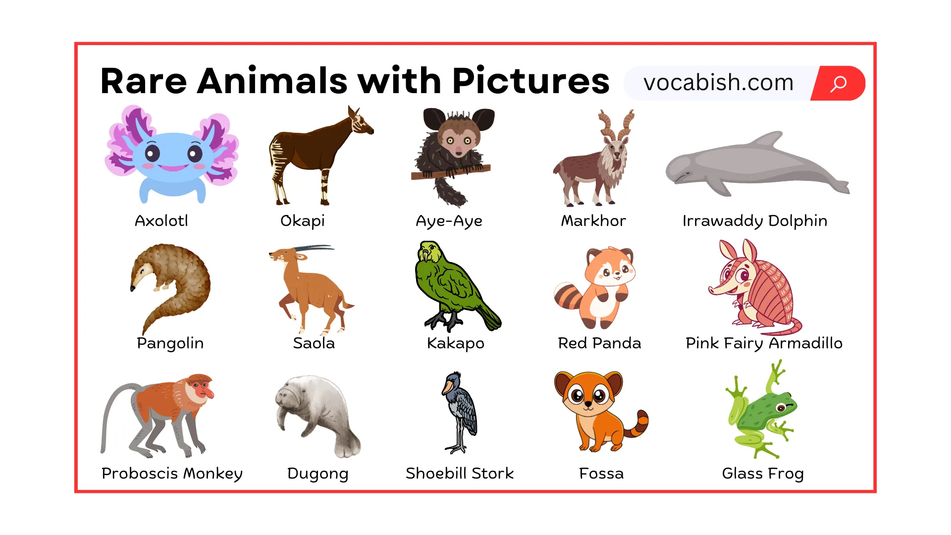Rare Animals Name in English with Pictures | Vocabish