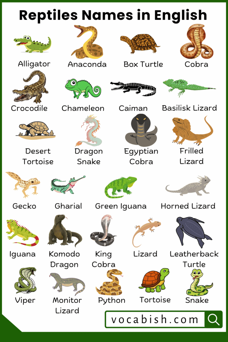 Reptiles Names in English with Their Pictures | Vocabish