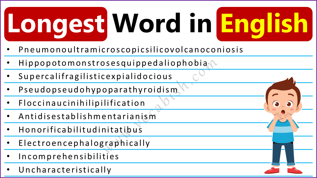 Longest Word in English with Their Meanings | Vocabish