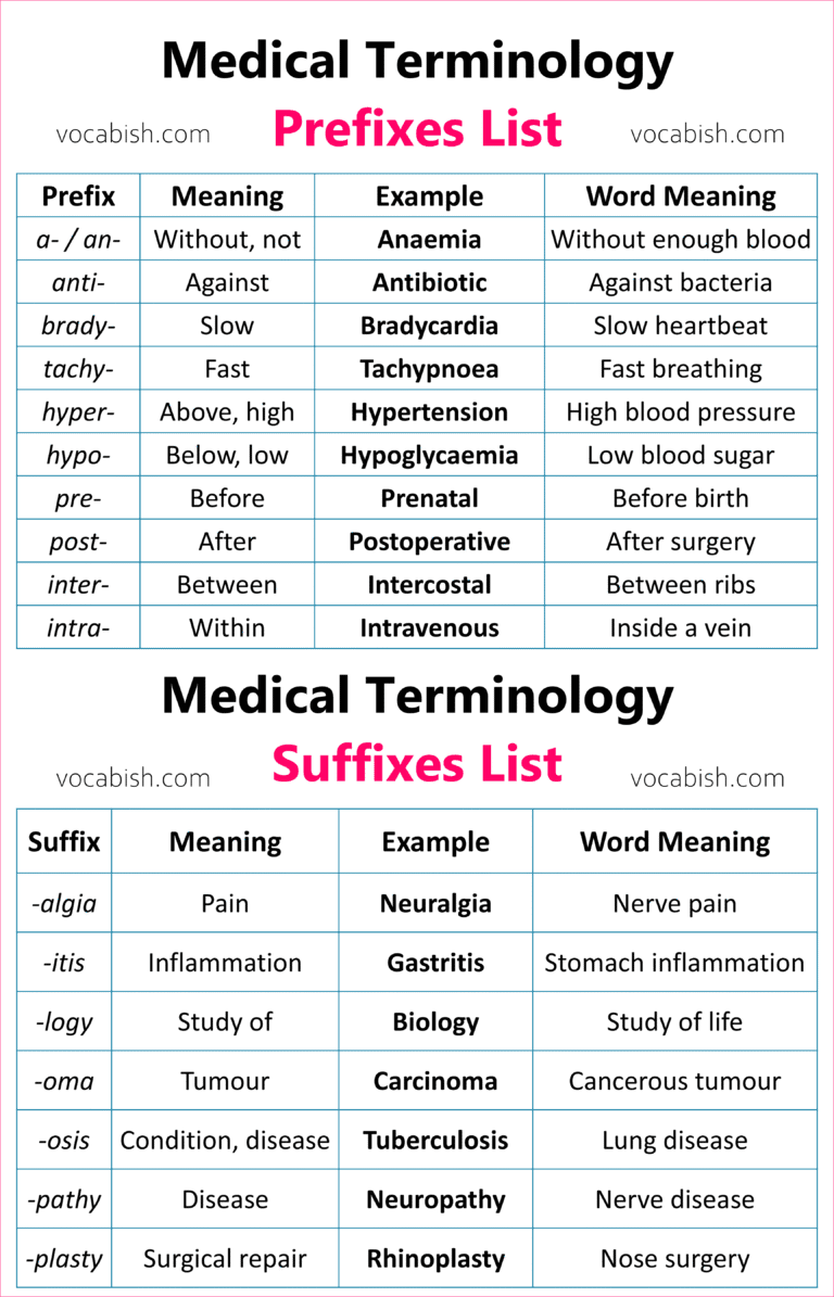Medical Terminology Prefixes and Suffixes | Vocabish