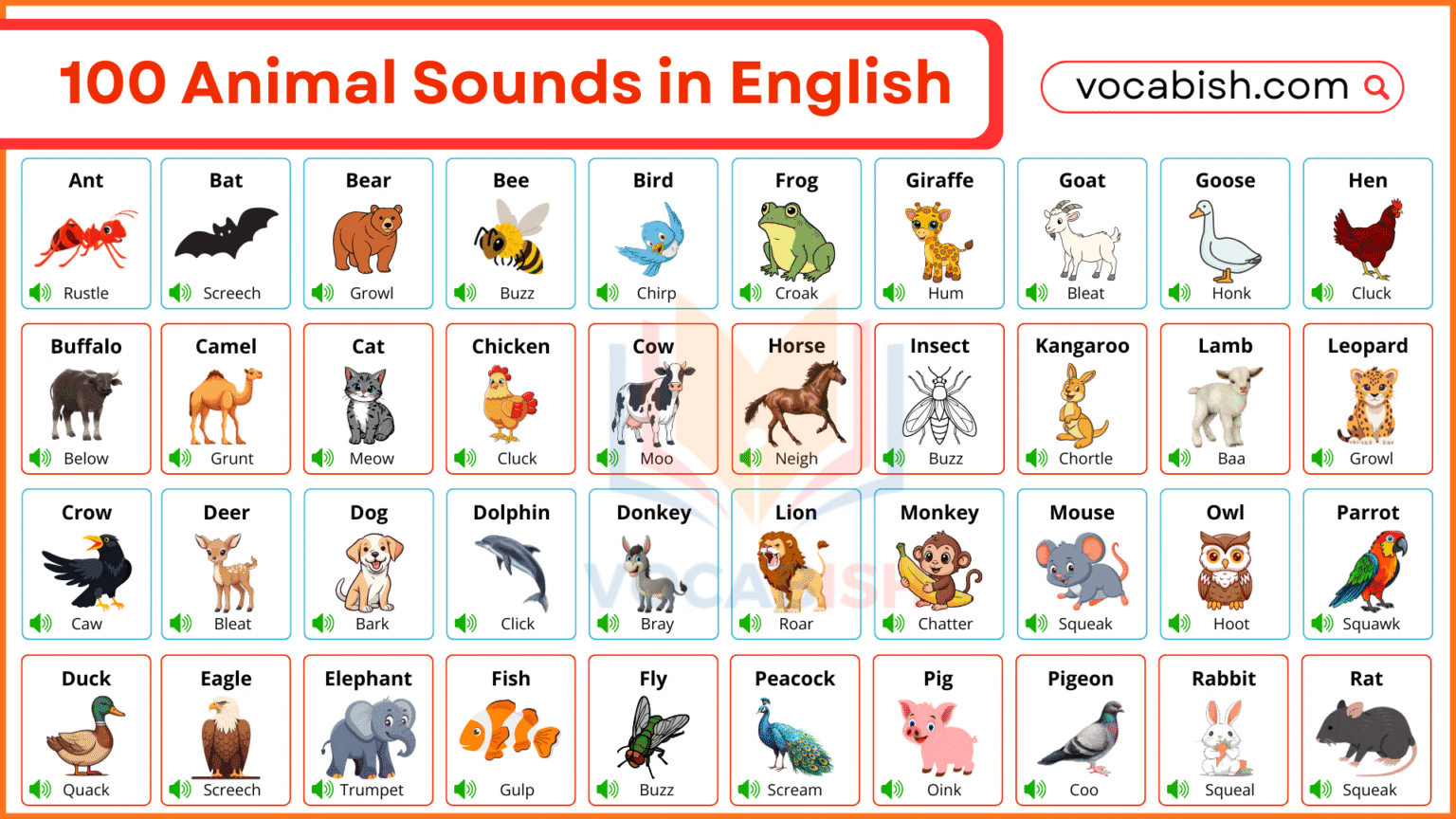 100+ Animal Sounds in English with Their Pictures | Vocabish