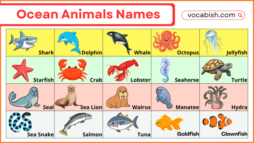 100+ Ocean Animals Names in English with Pictures | Vocabish