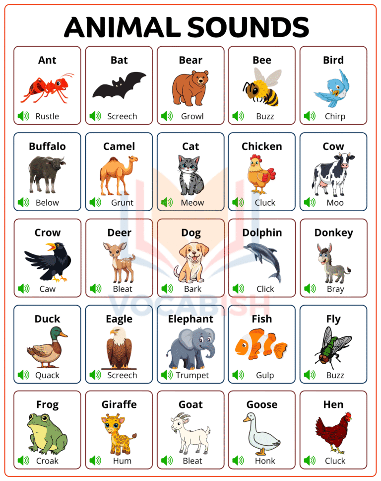 100+ Animal Sounds in English with Their Pictures | Vocabish