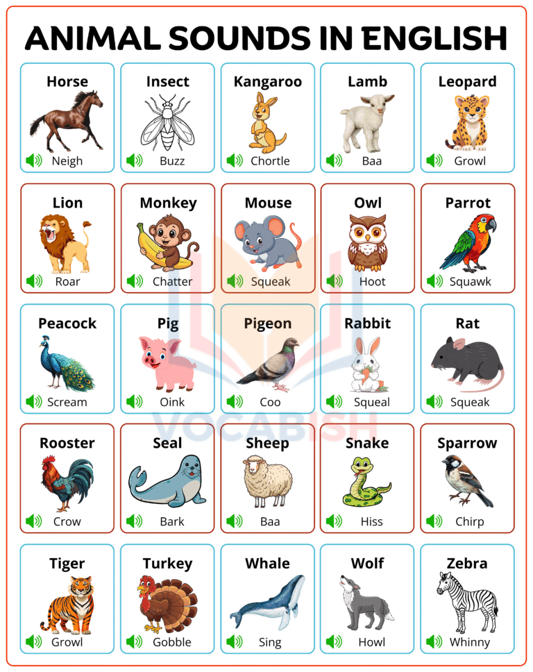 100+ Animal Sounds in English with Their Pictures | Vocabish