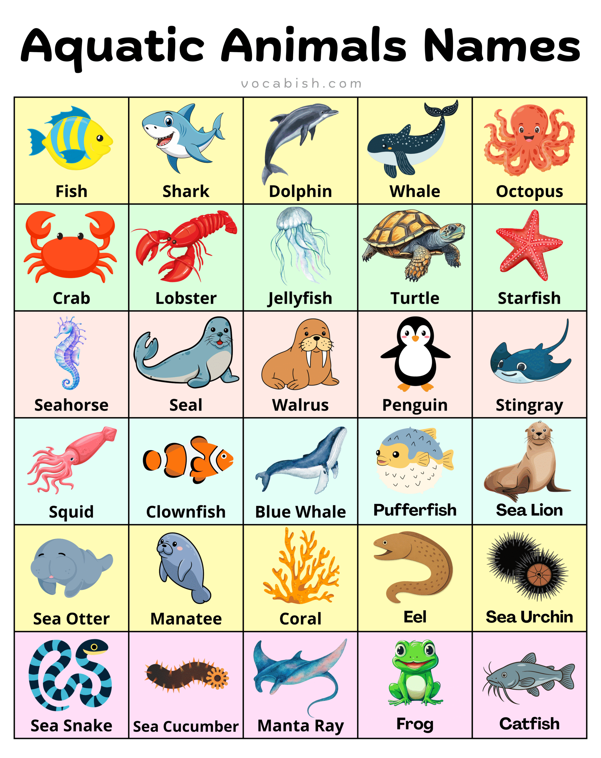 100+ Aquatic Animals Names in English with Pictures | Vocabish