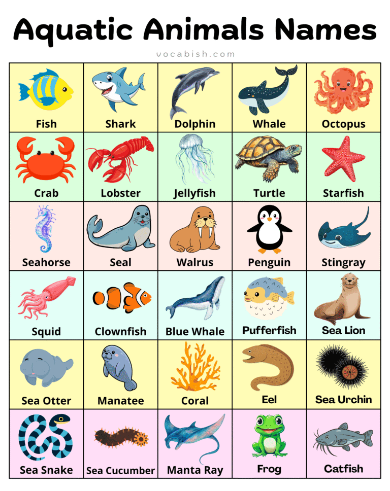100+ Aquatic Animals Names in English with Pictures | Vocabish