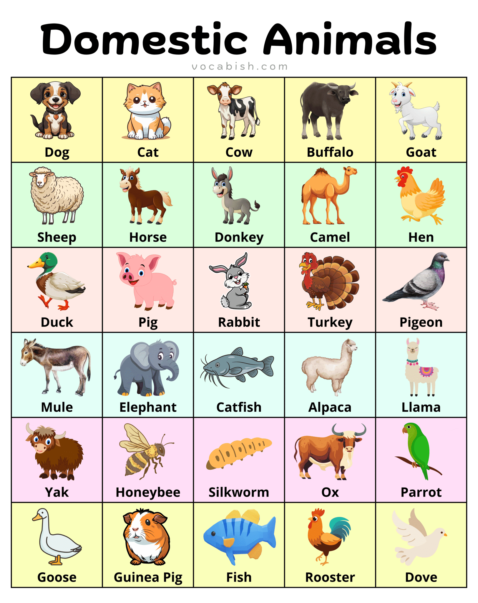 Domestic Animals Names in English with Pictures | Vocabish