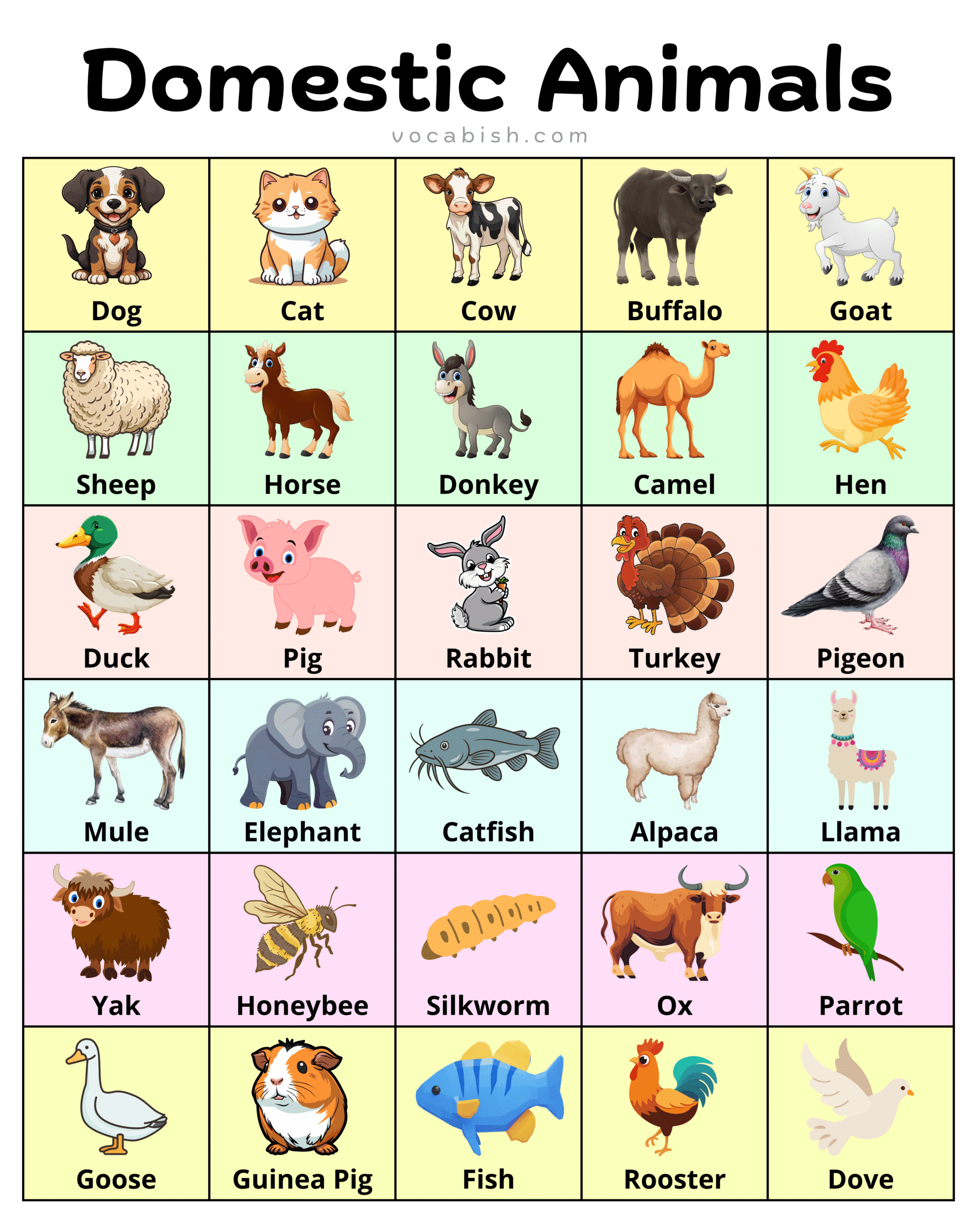Domestic Animals Names in English with Pictures | Vocabish