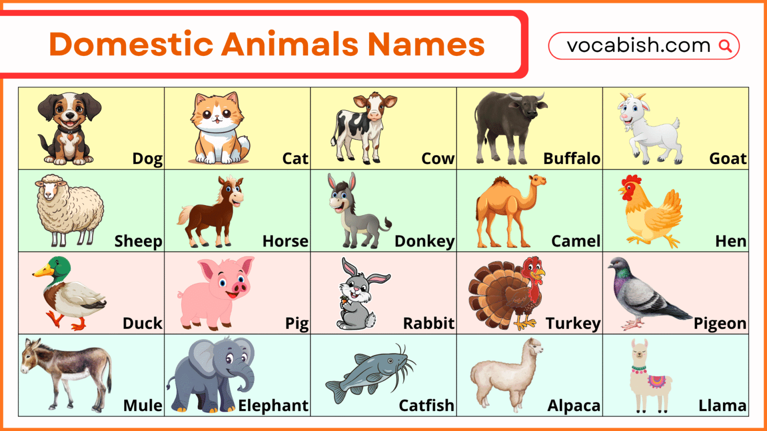Domestic Animals Names in English with Pictures | Vocabish