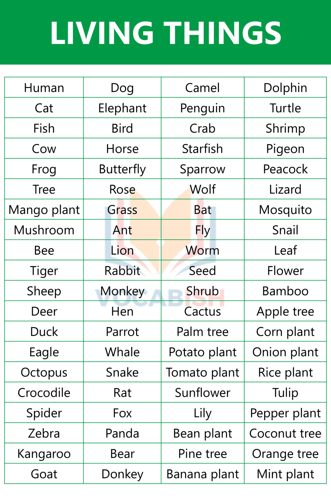 150+ Living and Non Living Things Names with Chart in English | Vocabish