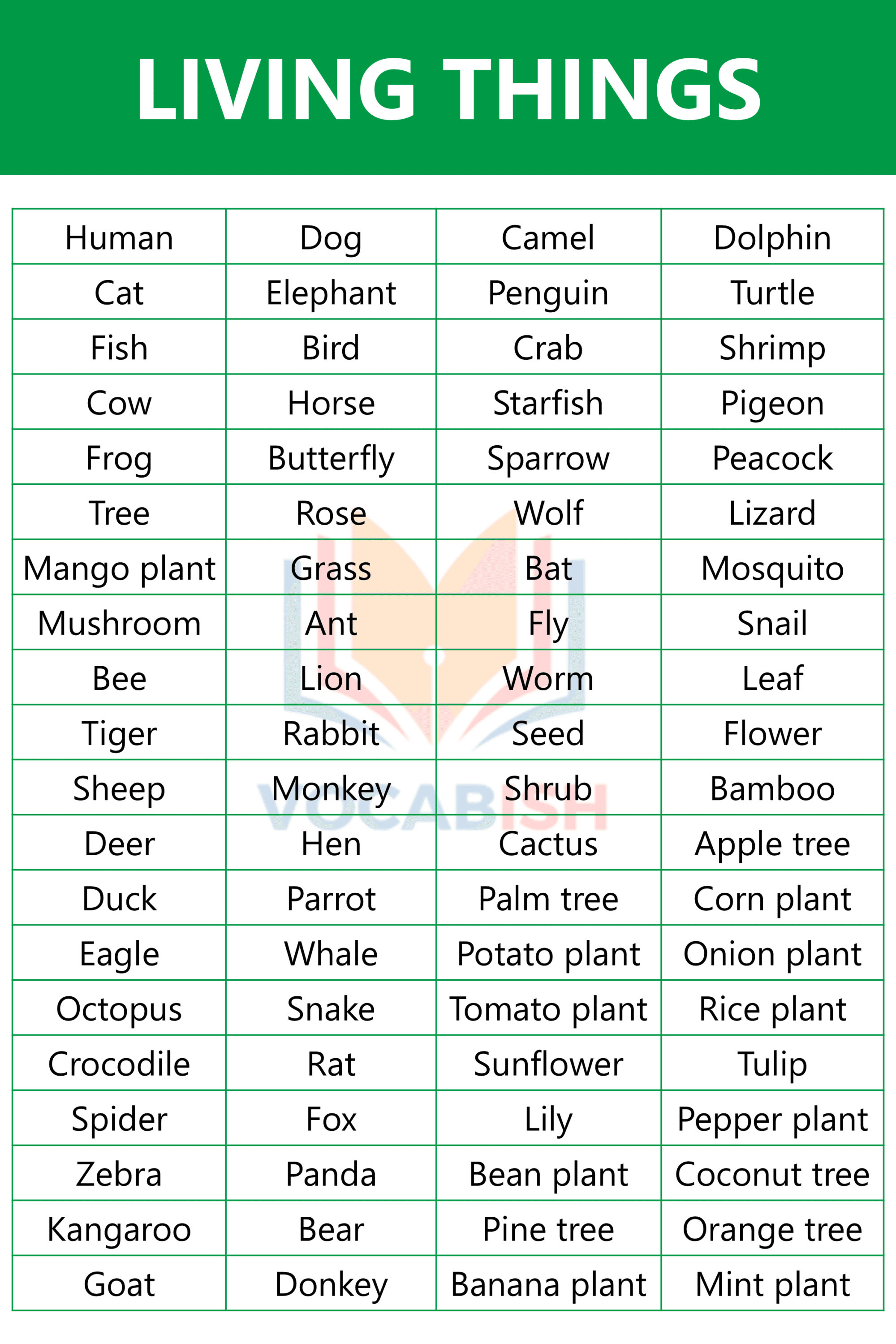 150+ Living and Non Living Things Names with Chart in English | Vocabish