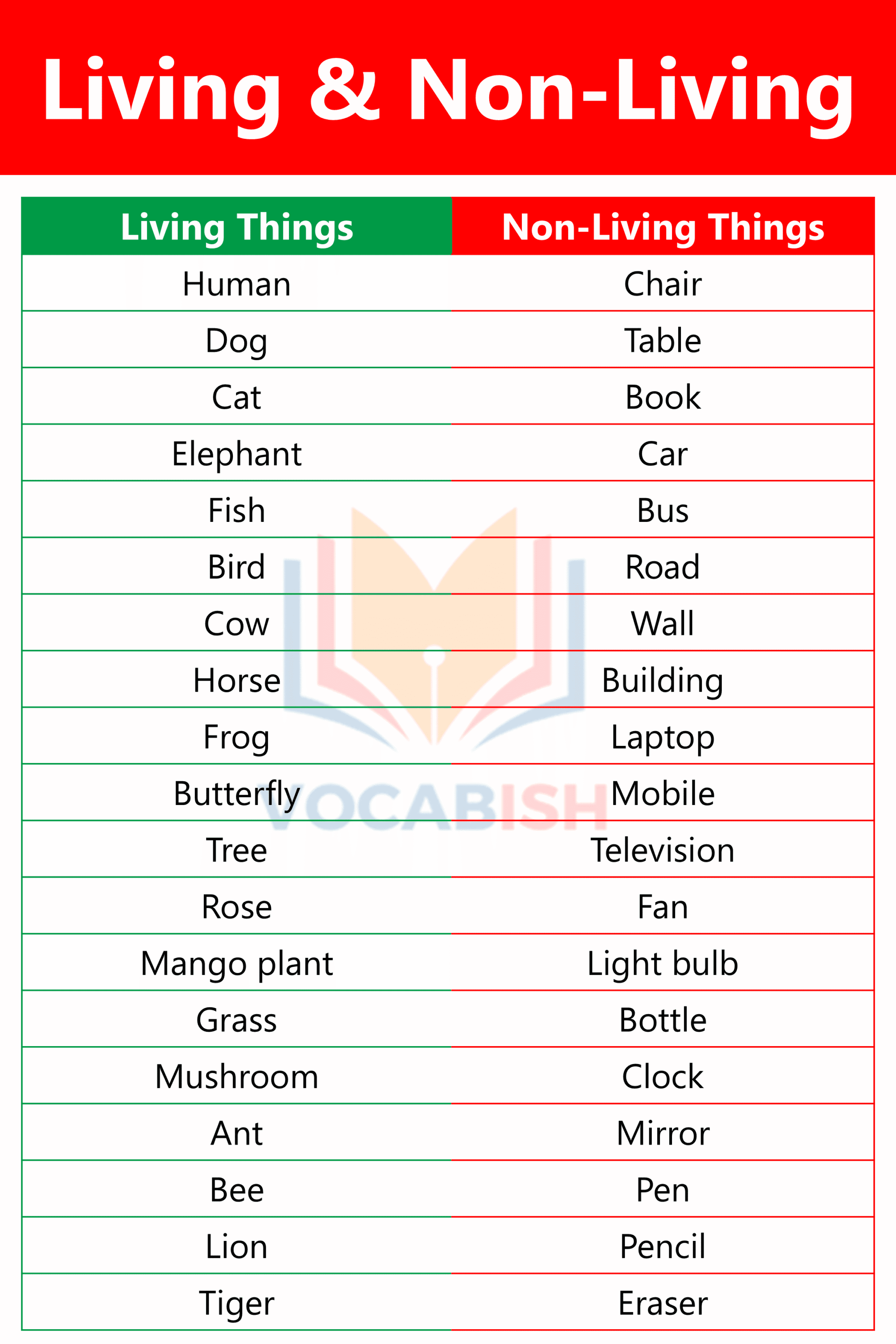 150+ Living and Non Living Things Names with Chart in English | Vocabish