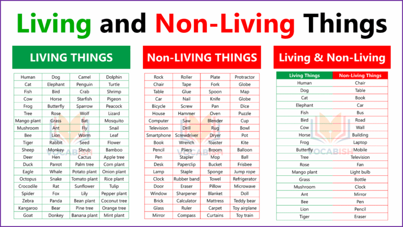 150+ Living and Non Living Things Names with Chart in English | Vocabish