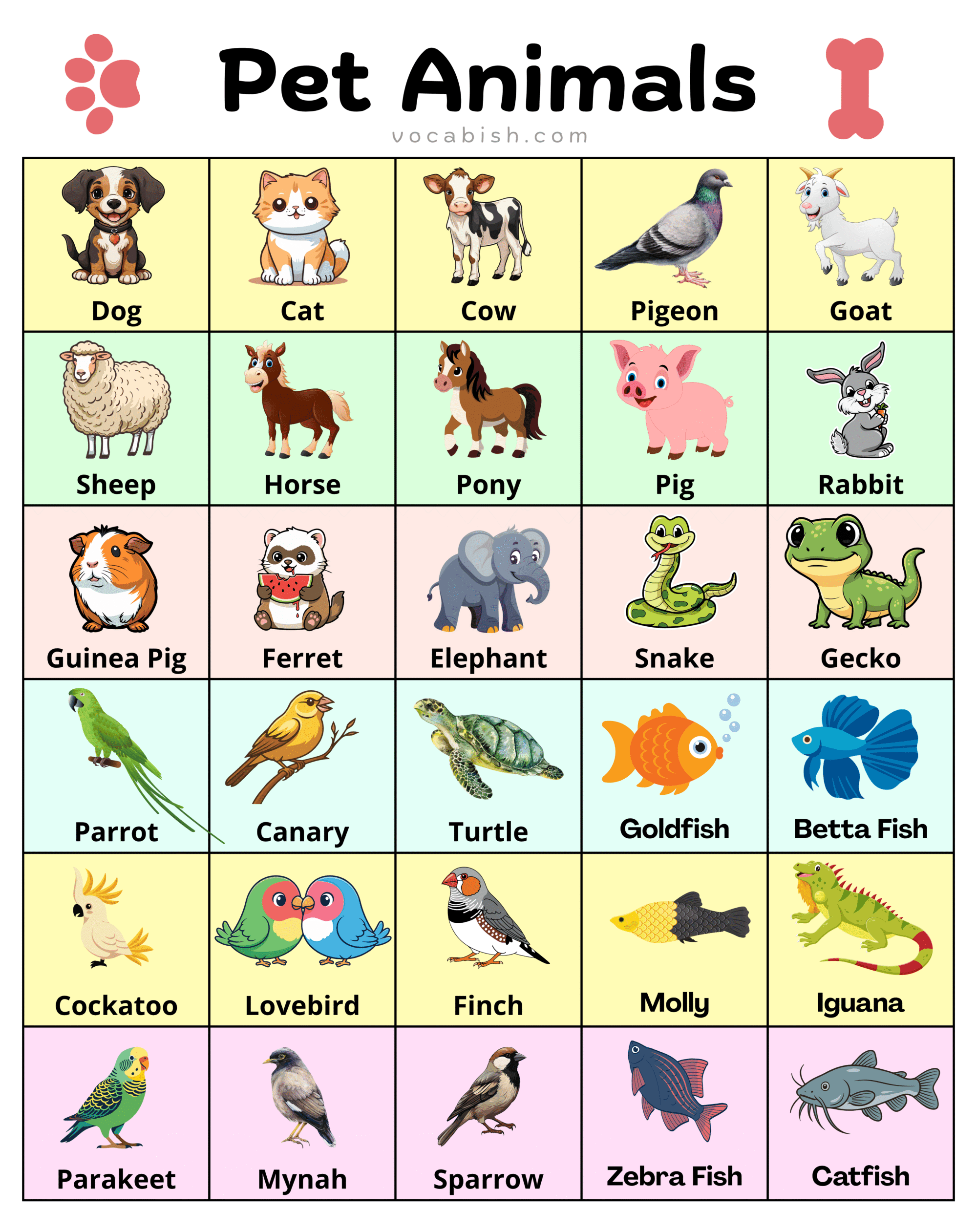 Pet Animals Names in English with Pictures | Vocabish