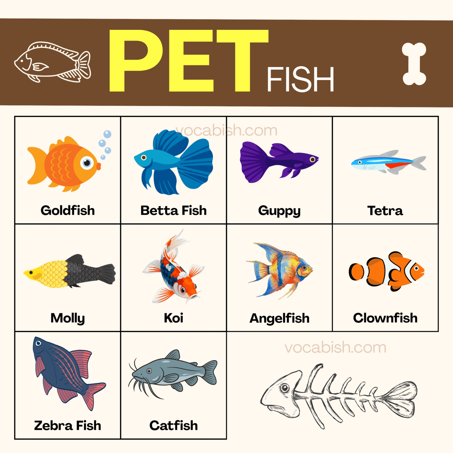 Pet Animals Names in English with Pictures | Vocabish