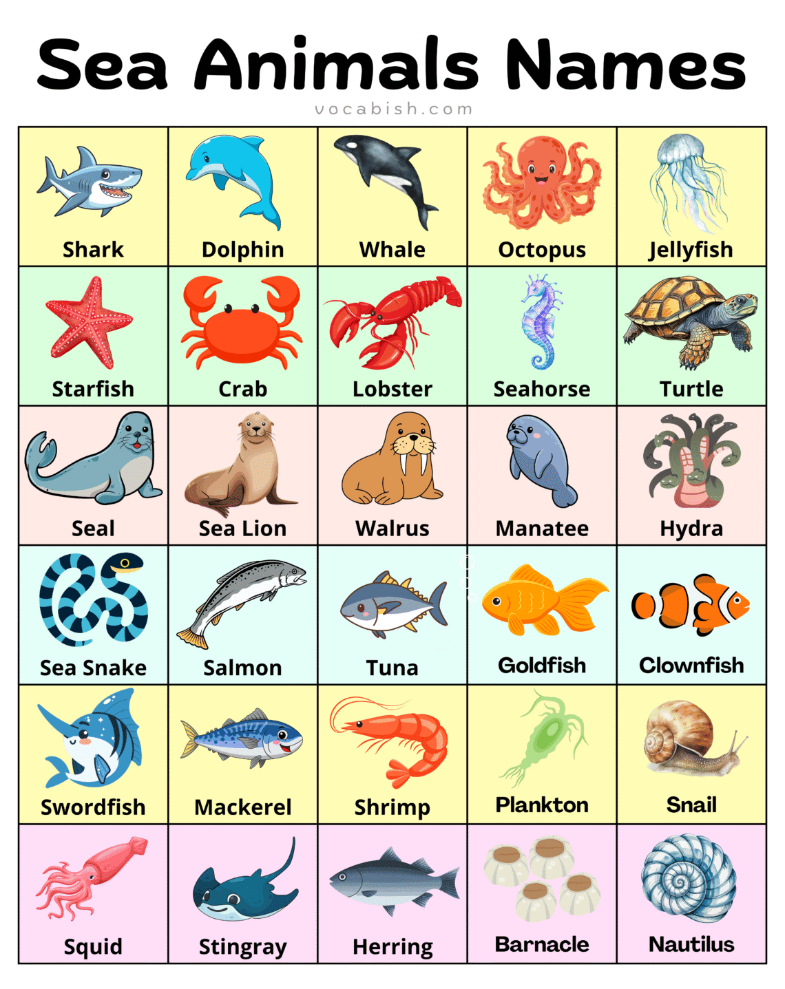 50+ Sea Animals Names in English with Pictures | Vocabish