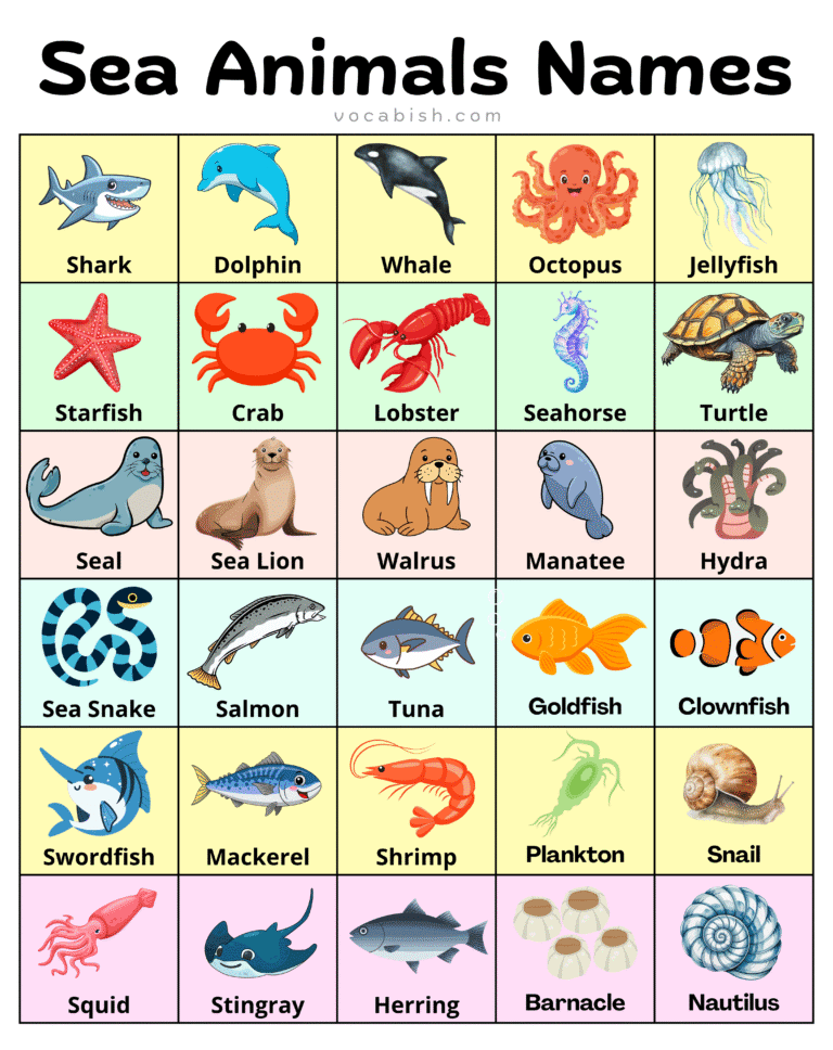 50+ Sea Animals Names in English with Pictures | Vocabish