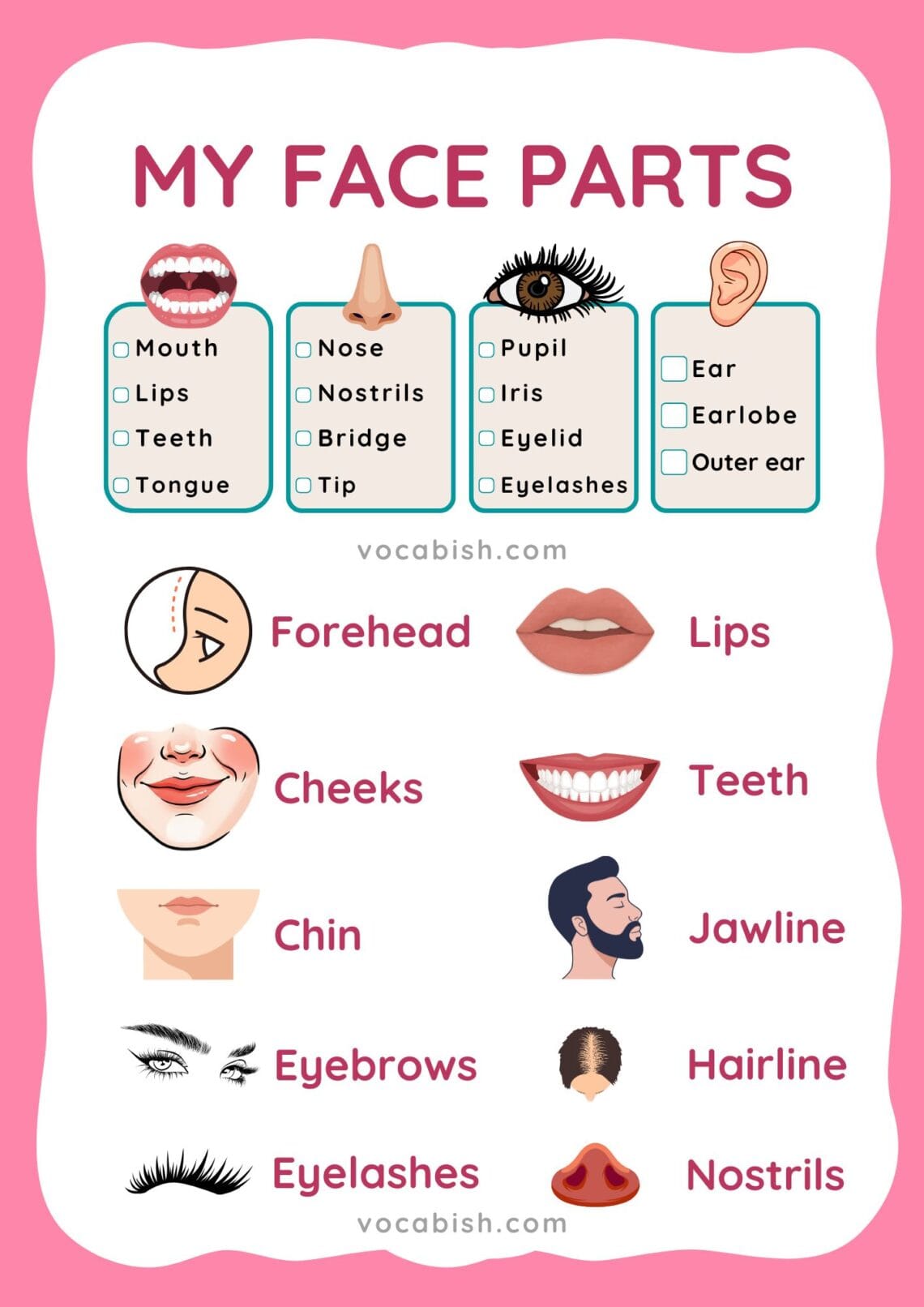 Parts of the Face in English | Face Parts Name with Pictures | Vocabish