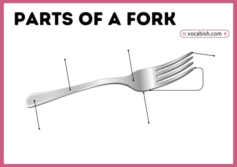 Parts of a Fork: Their Names and Functions with Diagram | Vocabish